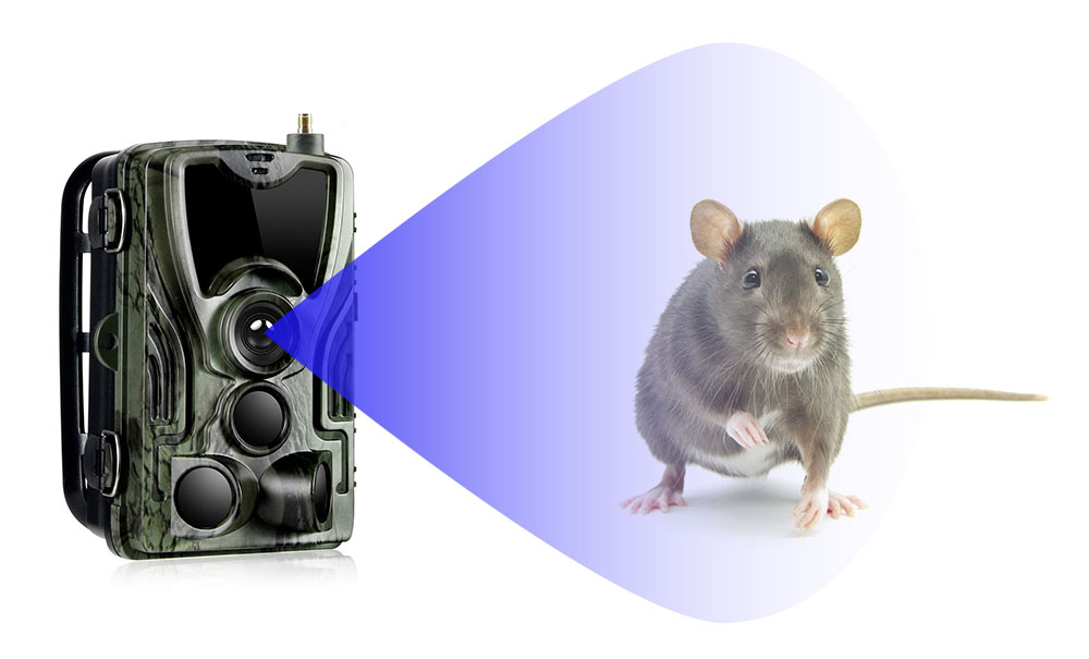 Live Pest Monitoring | Trap All Wildlife Services